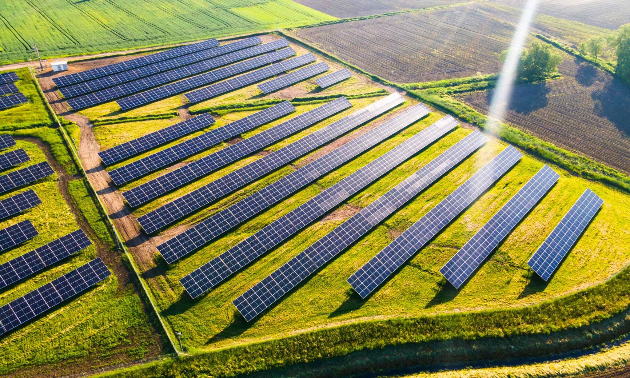Energía agrovoltaica, qué es, cómo funciona y tipos | Efiquality